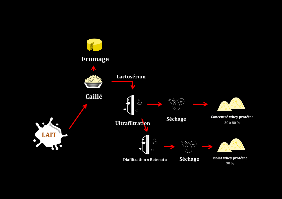 Quelle protéine choisir ? Page de Street workout Suisse, France & Europe